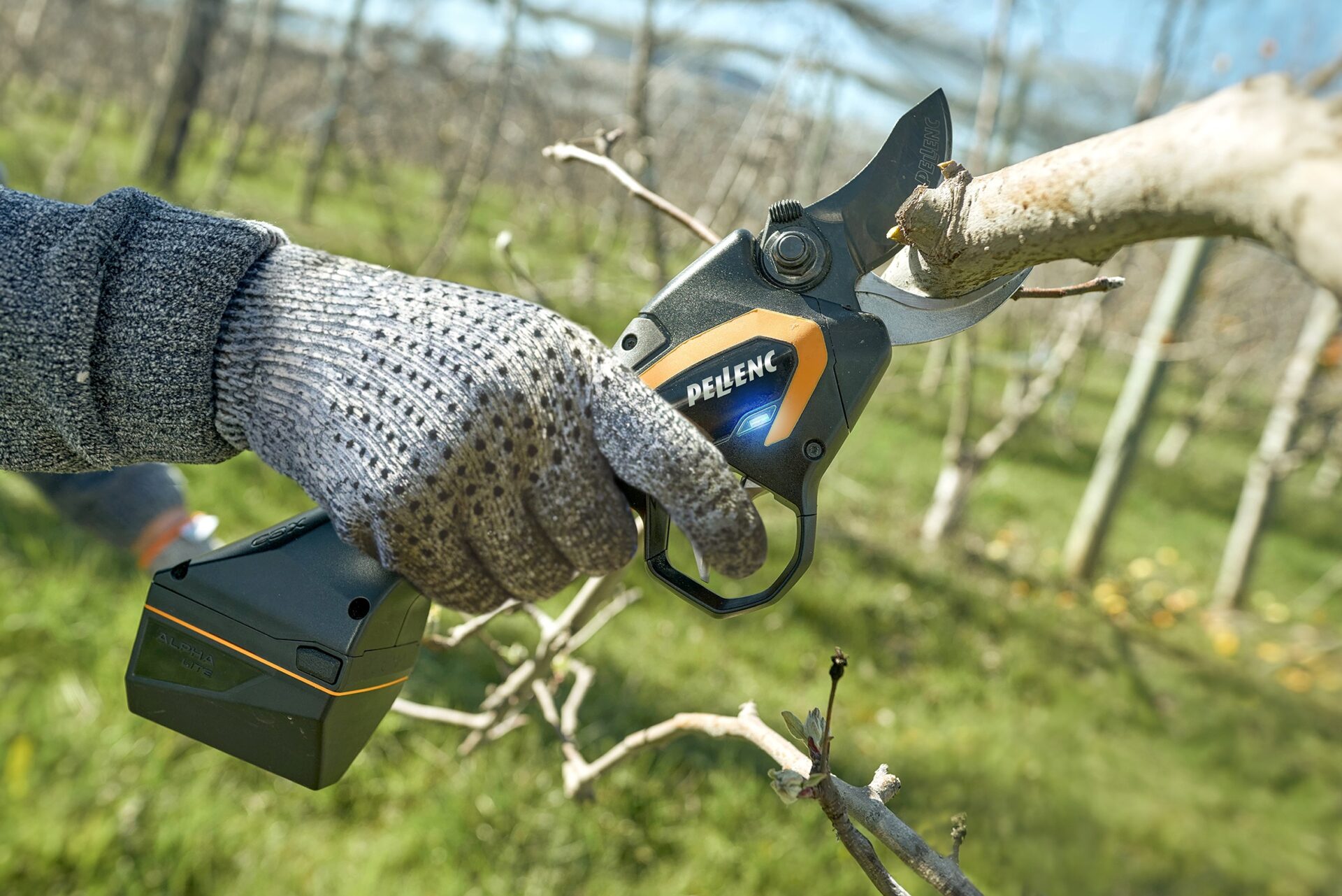 Pellenc komt met eerste snoerloze snoeischaar | Tuin en Park Techniek