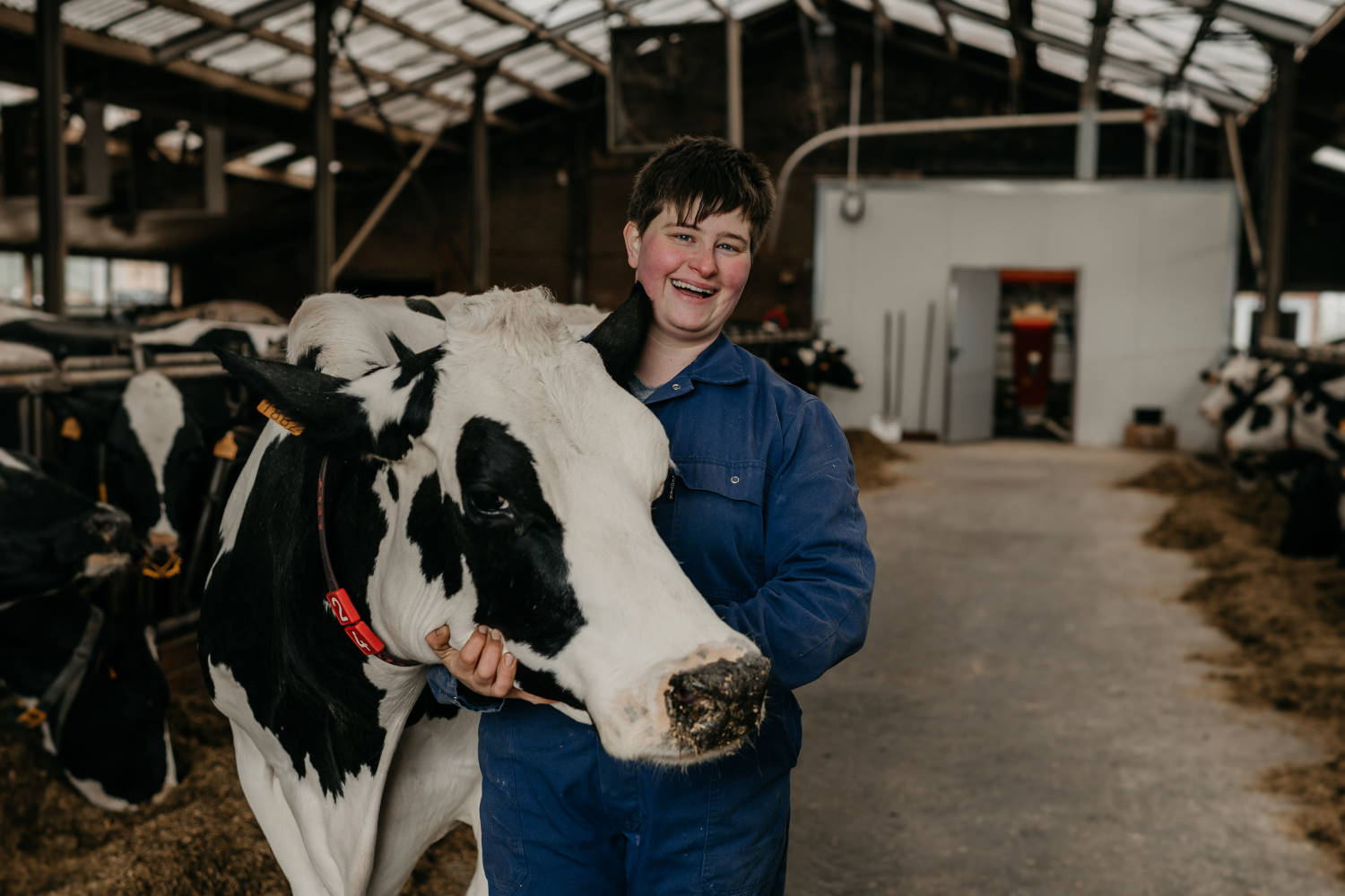‘Mooi systeem voor boer die graag tussen de koeien is’ | Veehouderij ...