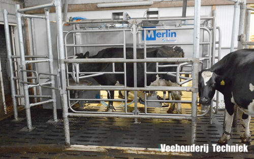 Fullwood introduceert Merlin M2 melkrobot | Veehouderij Techniek