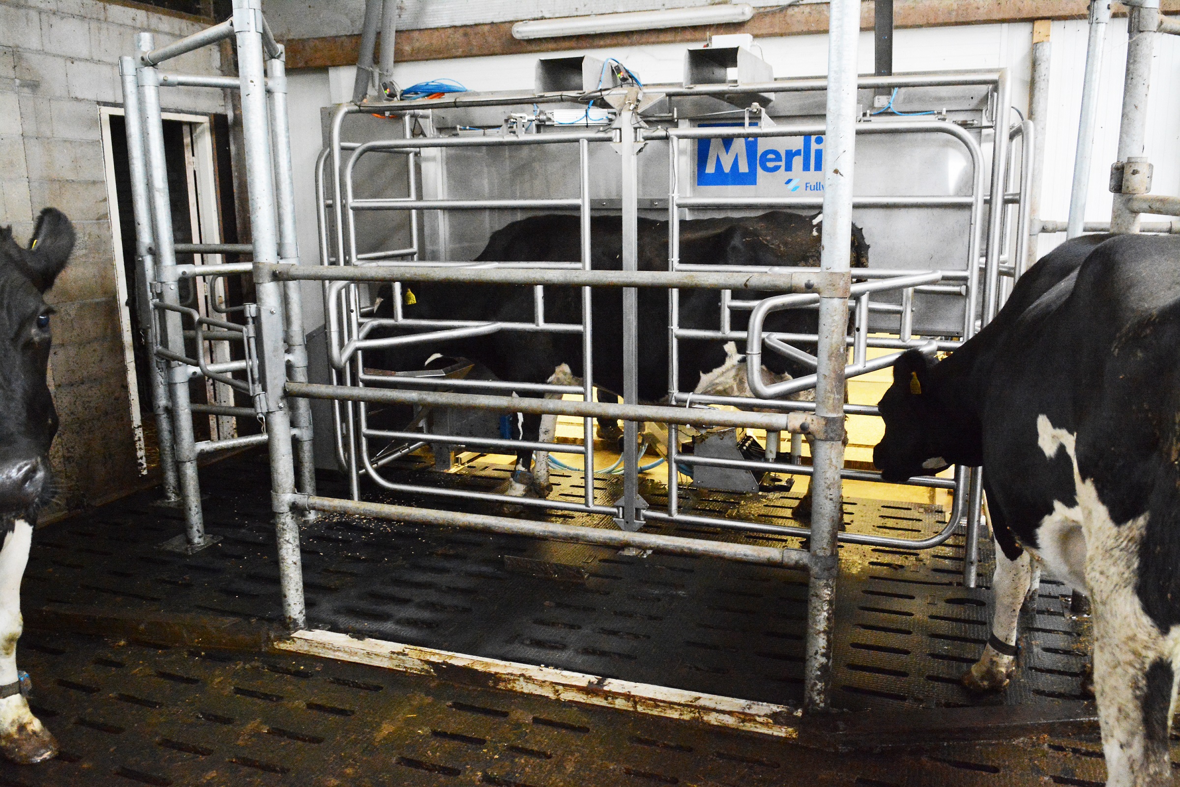 Fullwood JOZ levert Mueller koelsystemen | Mechaman